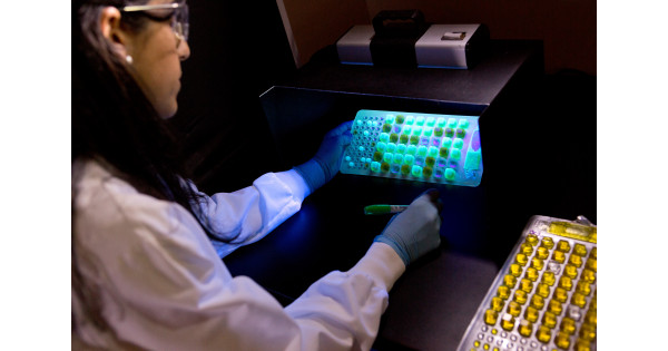 Компаратор Colilert-18 Quanti-Tray/2000 (97 лунок) WQT2KC Х0173502 ...