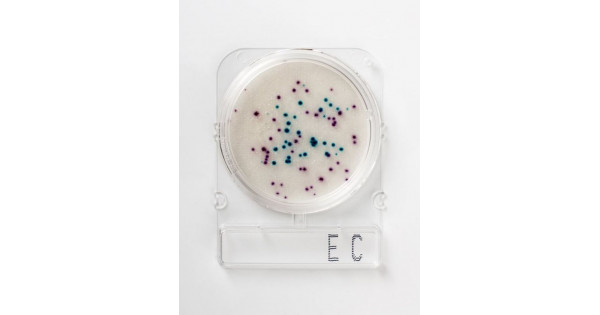 Мікробіологічне середовище Compact Dry EC (E.coli and coliforms), 40 шт/уп